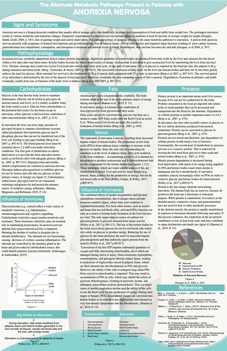 Understanding Anorexia Nervosa: Metabolic Adaptations and Nutritional ...